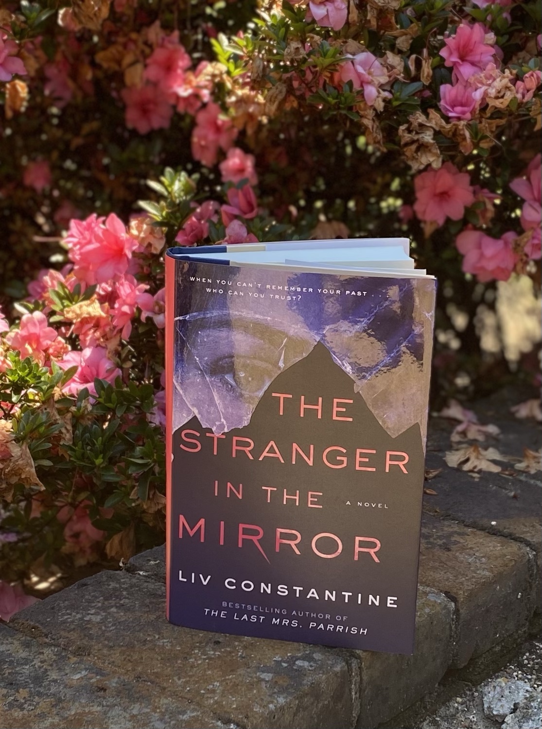 The Stranger in the Mirror by Liv Constantine @suzyapbooktours ...